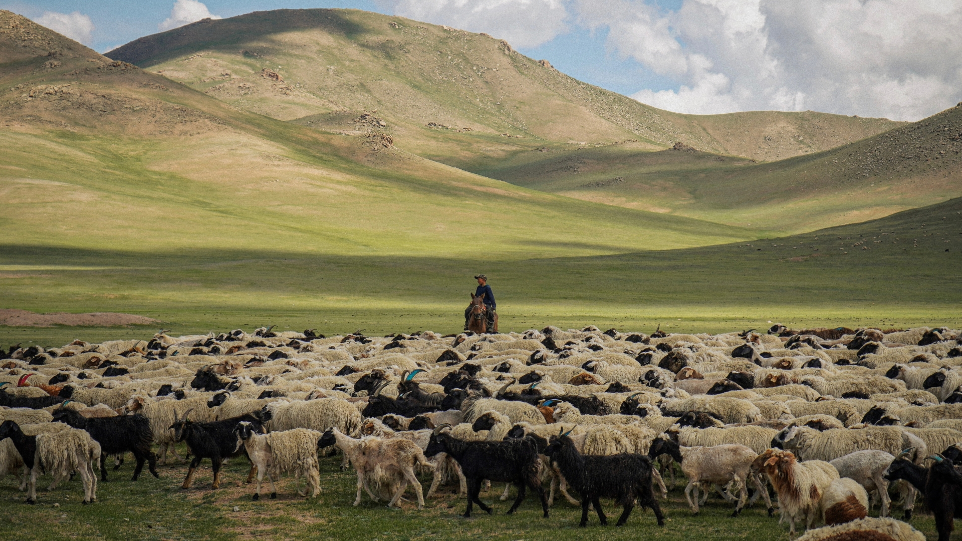 YWAM Ulaanbaatar Mongolia